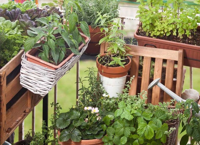 Garten Auf Balkon